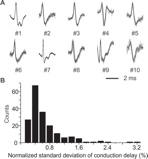 Robust And Repeatable Single Unit Recordings From 186 Mouse Sciatic Download Scientific Diagram