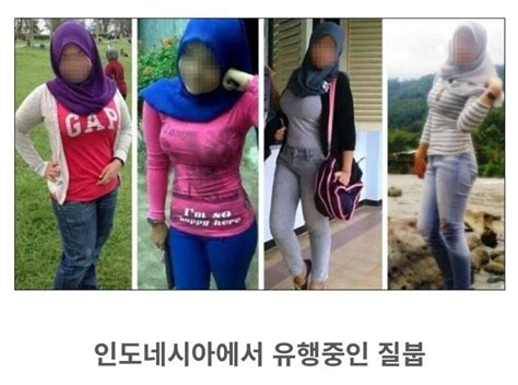 ㅇㅎ 술탄 신도시 미시룩 유머 움짤 이슈 에펨코리아