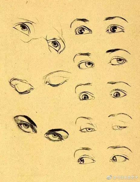 零基础人物绘画素材