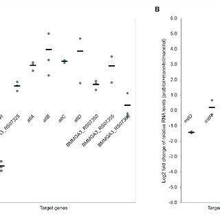 Dot Plot Graph Depicts Relative Gene Expression Levels Shown In Log2 Download Scientific