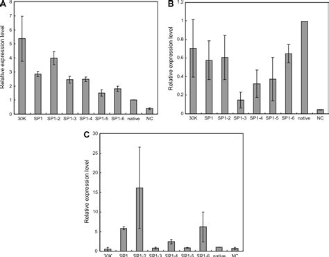 Figure 2 From Signal Peptide Design For Improving Recombinant Protein