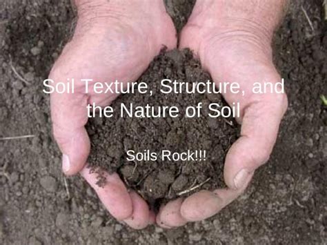 PPT Soil Texture Structure And The Nature Of Soil Soils Rock DOKUMEN TIPS