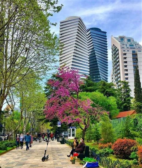 Tbilisi თბილისი Georgia საქართველო R Europe