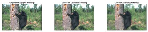 GitHub Komxun Image Segmentation With Clustering Comparing K Means FCM And Mean Shifted