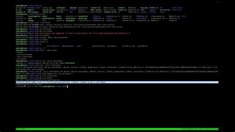 Using Patchelf To Easily Patch Missing Libraries For Unikernel Packaging Youtube