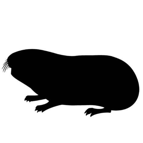 About Us Gopher Geddon Varmit Control Salt Lake Company