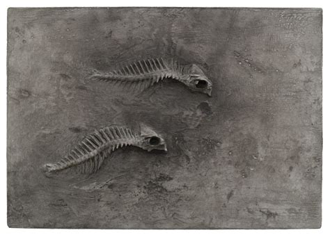 Fossili Exibart Prize