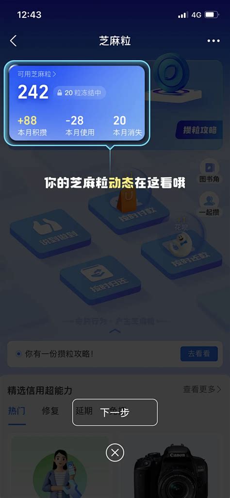 支付宝 芝麻粒 新功能引导2 花瓣网
