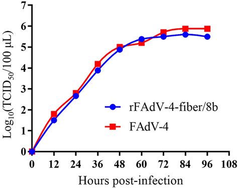 replication kinetics of rfadv 4 fiber 8b and fadv 4 the replication download scientific