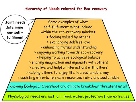 Shaping A Wise Hierarchy Of Needs By Barbara Williams Medium