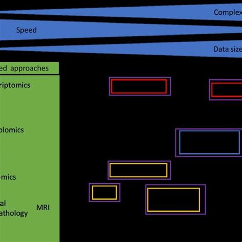 Insights Into Tissue Structures Provided By Various Multi Omics