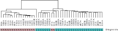 Dendrogram Is Plotted From Hierarchical Clustering Of 497 Probe Sets In