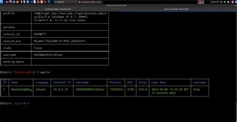 Pranesh S On Linkedin Cybersecurity Webinar Windowspersistence