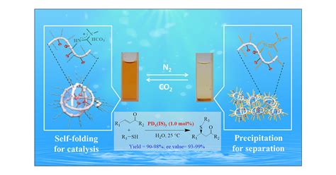 Co2 Switchable Single Chain Polymeric Nanoparticles Enable Gas Controllable Reaction Separation