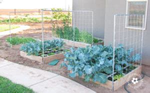 How To Build A Garden Trellis From Start To Finish