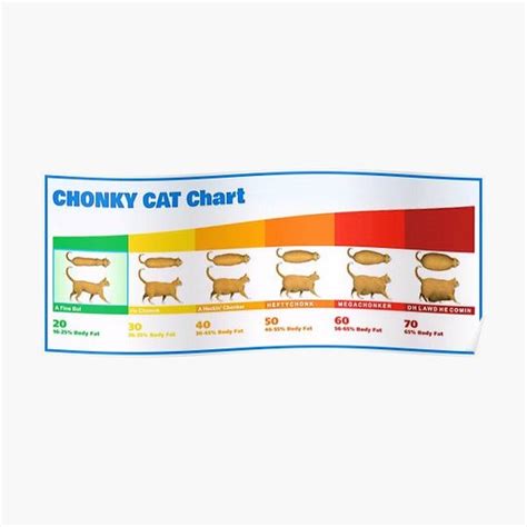 Chubby Chonky Cat Chart Funny Chonk Meme Oh Lawd He Comin Premium