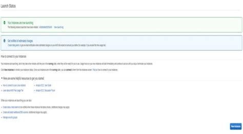 Launching Aws Ec2 Instance Ip With Ease