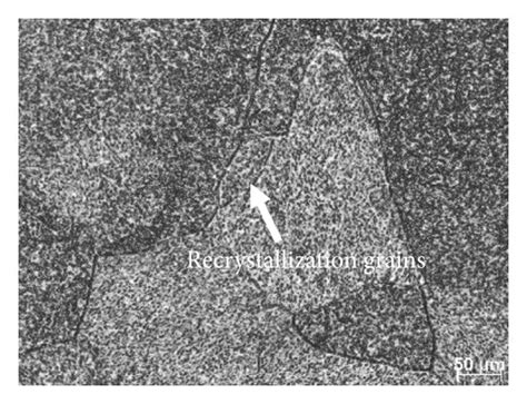 Deformed Microstructure Of Tb18 Alloy A 700°c0001 S⁻¹ B Download Scientific Diagram