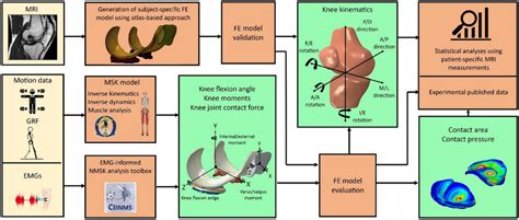 Overview Of The Workflow Used In This Study Inputs Analyses And Download Scientific Diagram