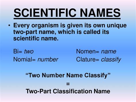 Do Now Textbook And Copybook Pg 40 2a C Ppt Download