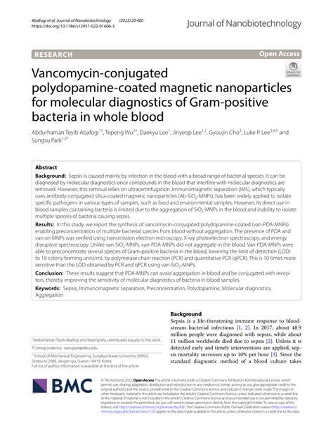 Pdf Vancomycin Conjugated Polydopamine Coated Magnetic Nanoparticles For Molecular Diagnostics