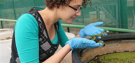 About SFN Sustainable Floristry Network