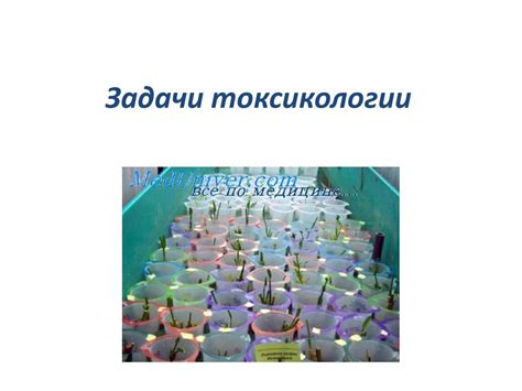 Основы токсикологии. (Лекция 1) - презентация онлайн