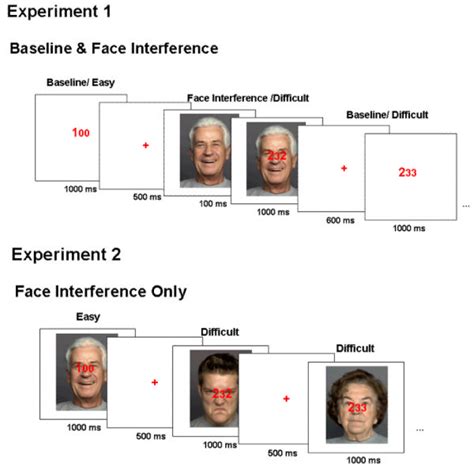 Multi Source Interference Tasks Used In Experiment 1 And Experiment 2