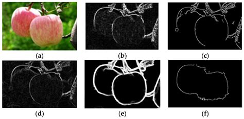 Sensors Free Full Text Apple Fruit Edge Detection Model Using A