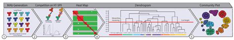 Epitope Binning And Epitope Mapping For Antibody Characterization Creative Biostructure
