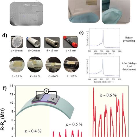 Processing And Electrical Characterization Of Device Patterns Defined Download Scientific