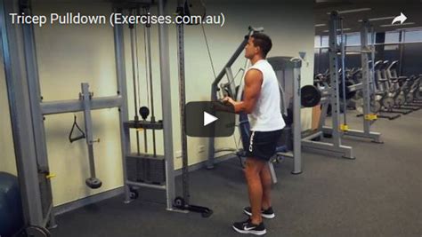 Tricep Pulldowns Short 138 Min Step By Step Demo Video