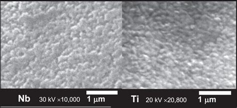 Sem Scans Of Niobium Gyro And Titanium Housing Coatings Download