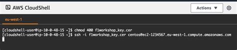 launching ec2 f1 instance fpga workshop with amazon ec2 f1