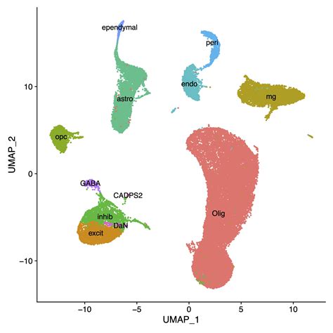 Standard Analysis Track Midbrain Dataset ScRNAbox