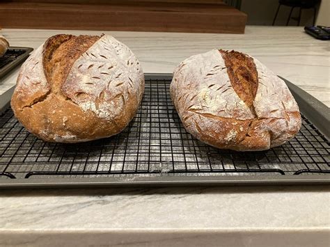 Wheat Vs Rye Experiment Baking Techniques Breadtopia Forum