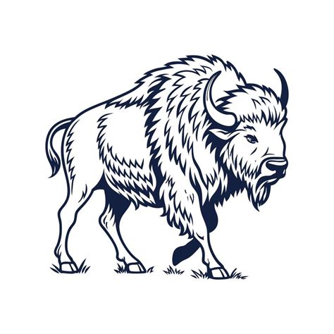 Regal Eurasian Bison On White Surface 58115533 Vector Art At Vecteezy