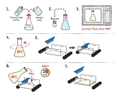 Dhl Agar Introduction Principle Composition Preparation Procedure