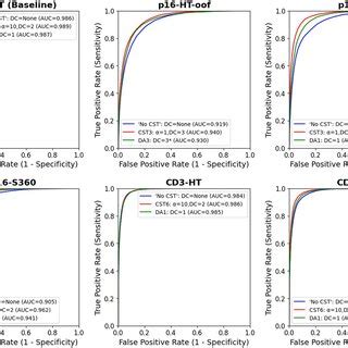 Schema For The Training Process With CST And The Testing Setup Download Scientific Diagram