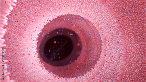 Obelisks A Virus Like Entity Here Together With Bacteria Red In The Human Small Intestine