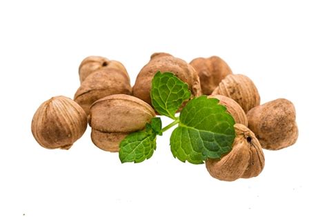 Premium Photo | Cardamon