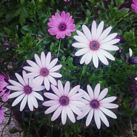 이미지 공유 마당