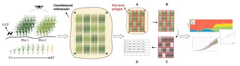 Phenomaize Uav Based Maize Phenotyping Methodology