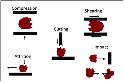 Solid Fragmentation Modes Applied To Hibiscus Calyxes The Powder Download Scientific Diagram