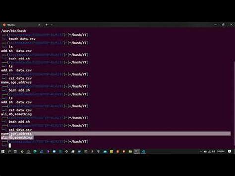 Create And Store Records Into Csv Using Bash Script Bash Scripting