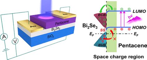 Self Driven And Blue Enhanced Photodetectors Based On Organicinorganic