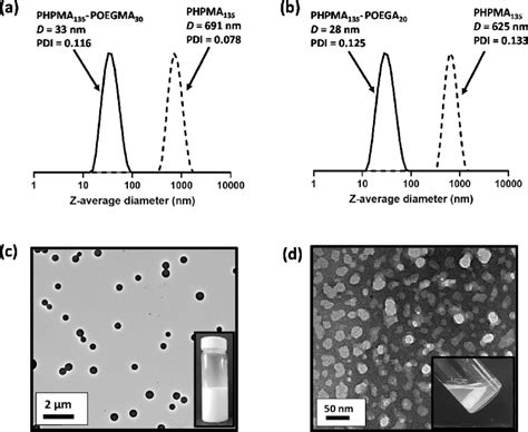 Normalized Dls Intensity Average Particle Size Distributions Recorded