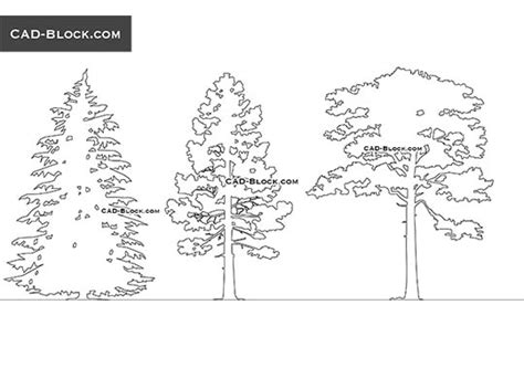 Pine Tree Cad Blocks Autocad Models Free Download Trees In Plan Elevation