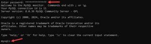 How To Connect To MySQL Database PhoenixNAP KB