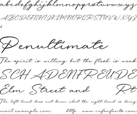 Messy Nessy Script Font Download Free For Desktop Webfont